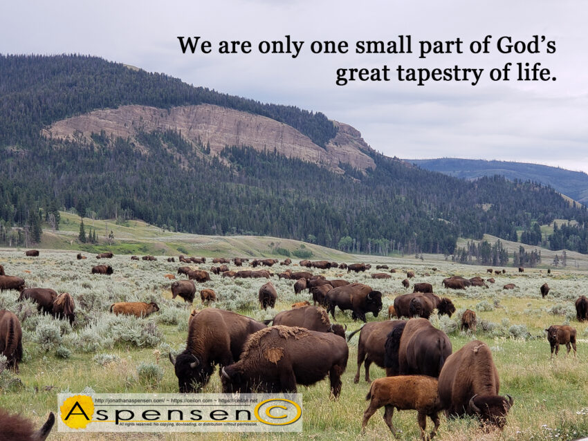 We are only one small part of God’s great tapestry of life – Dr. Ceilon ...